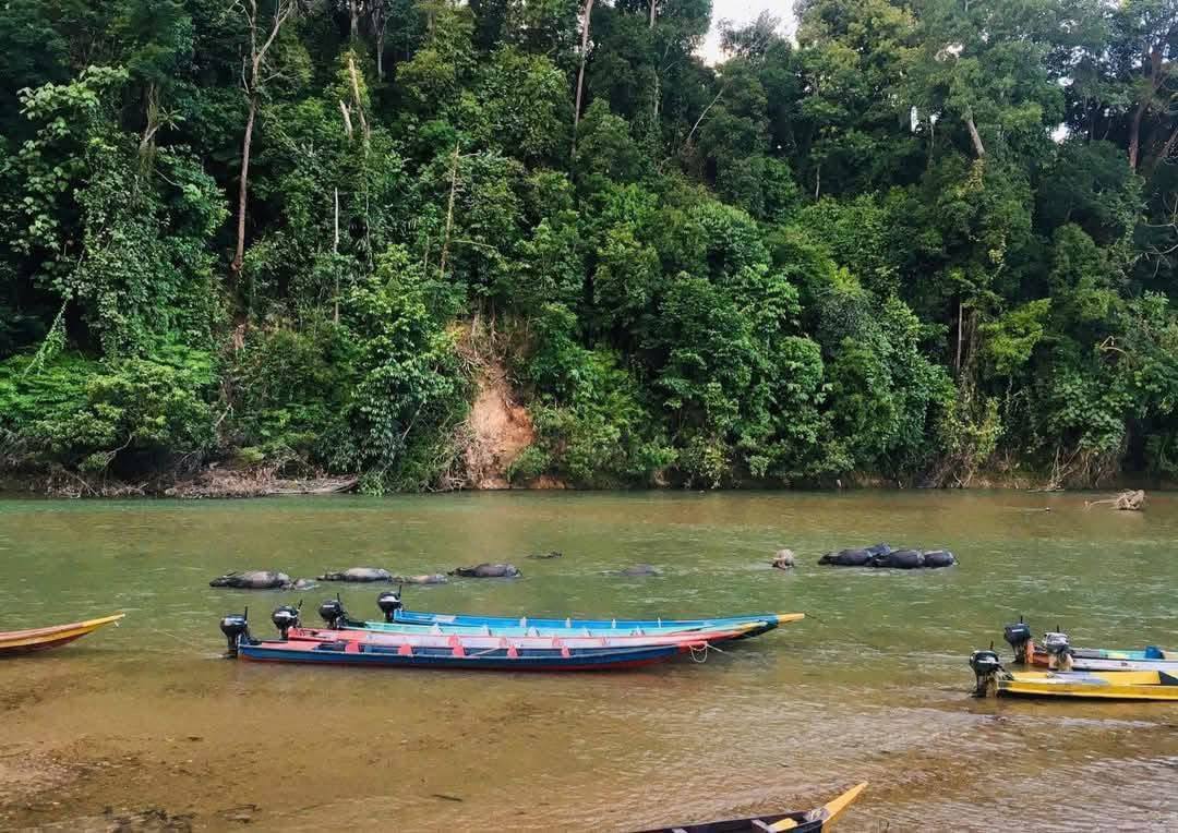 Our Activities – Taman Negara Malaysia